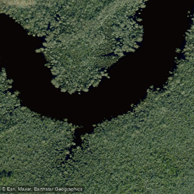 Perquimans River Fishing in North Carolina - Maps, Reports, & Best ...