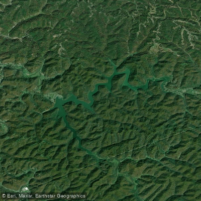Beech Fork Lake Fishing in West Virginia - Maps, Reports, & Best Spots ...