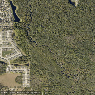 Econlockhatchee River Fishing in Florida - Maps, Reports, & Best Spots ...